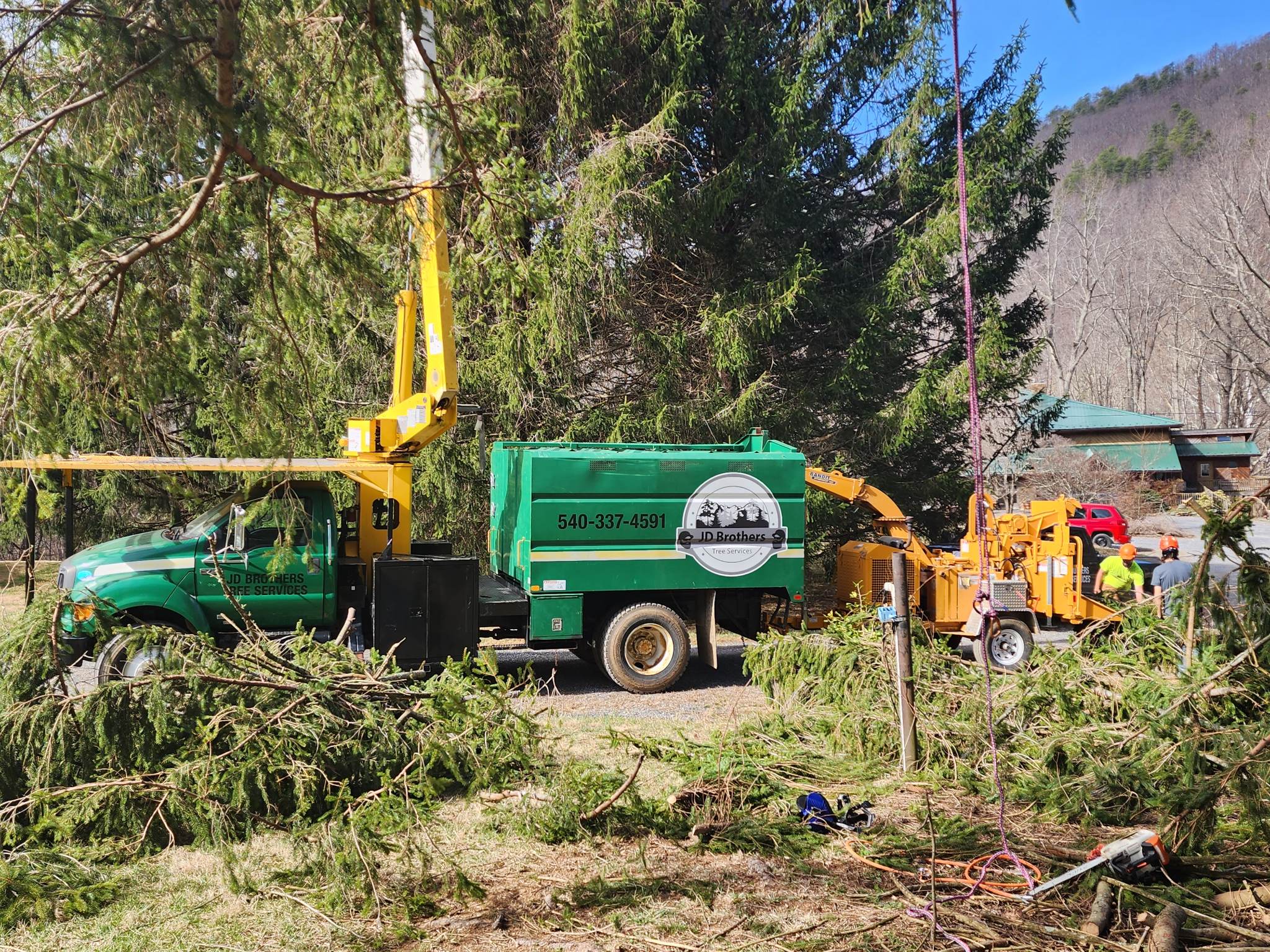 Our Work - JD Brothers Tree Services