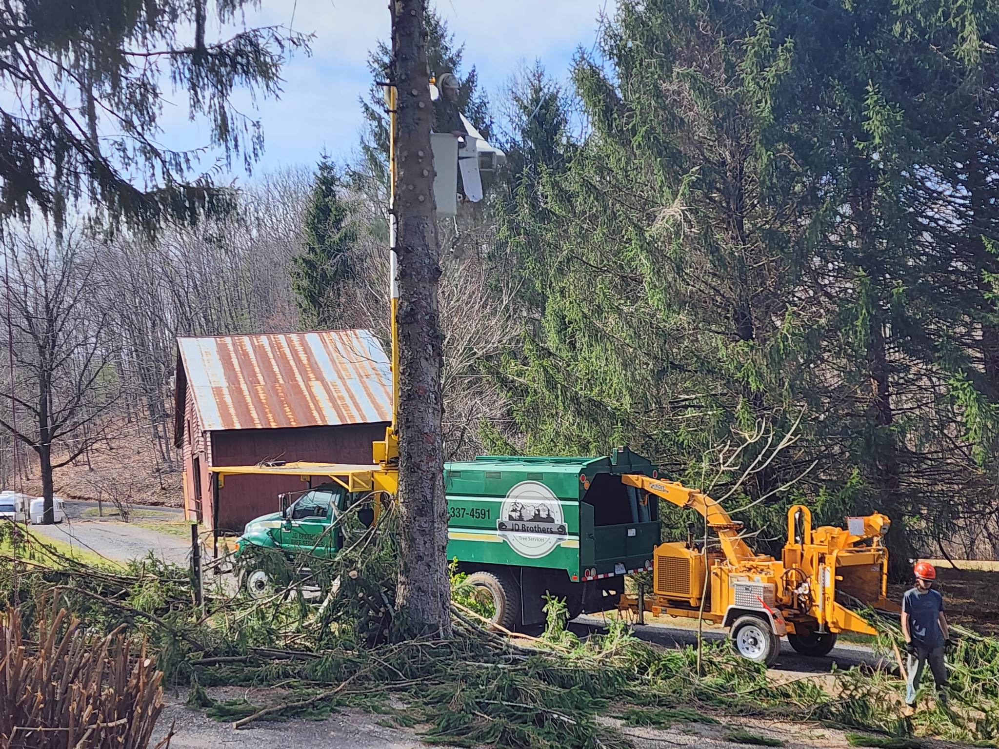 Our Work - JD Brothers Tree Services