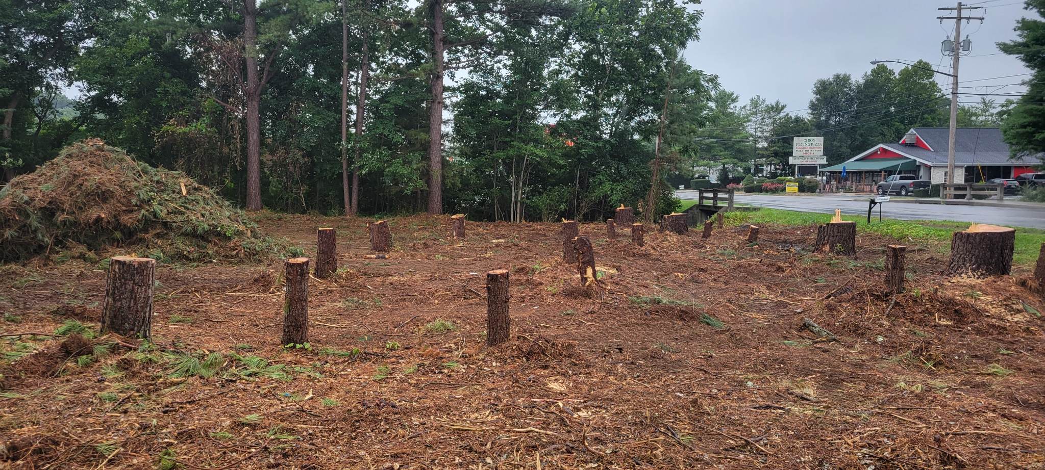 Our Work - JD Brothers Tree Services